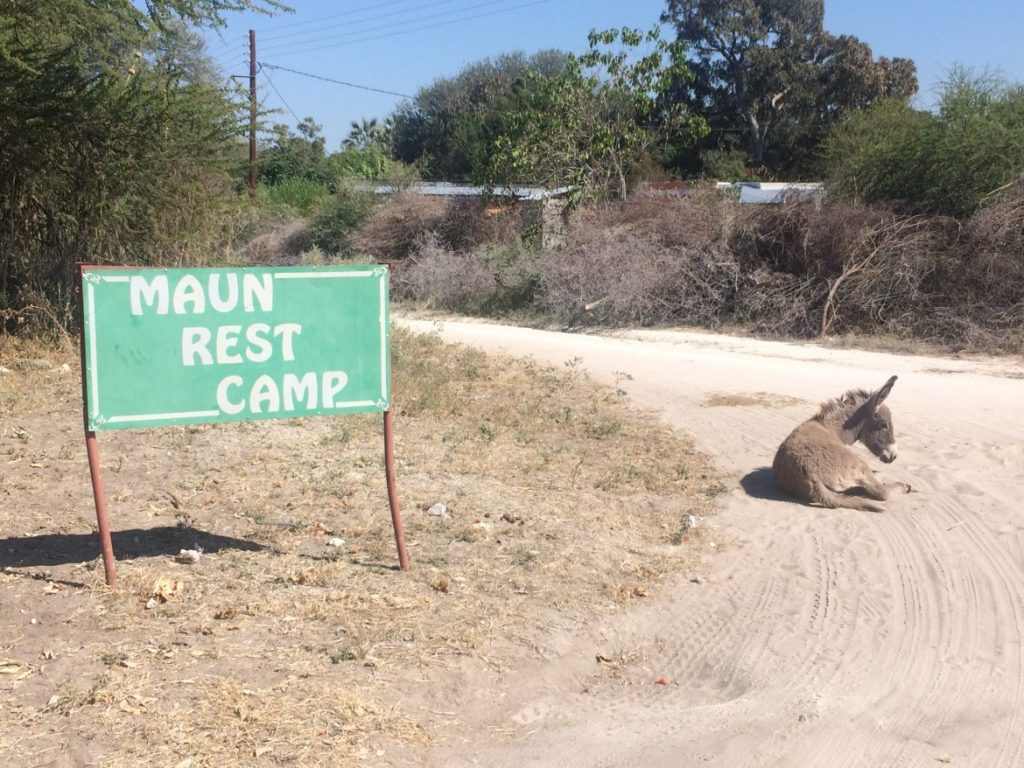 Maun Rest Camp