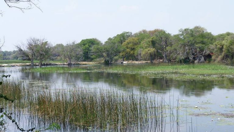 Maun Rest Camp