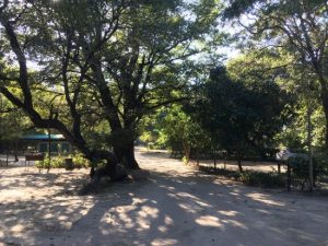 Maun Rest Camp