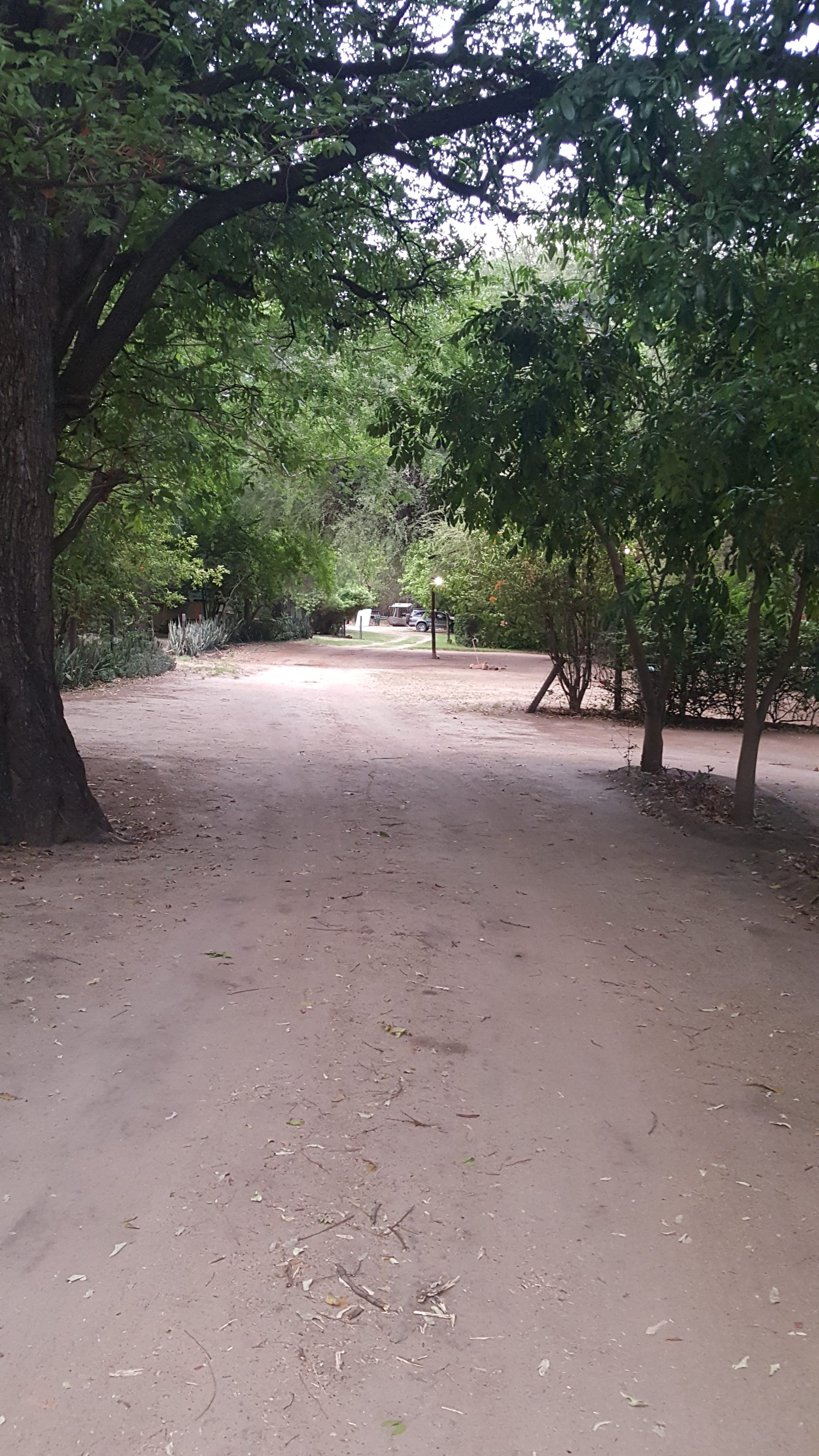 Maun Rest Camp