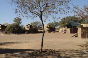 Quiver Tree Forest Camp