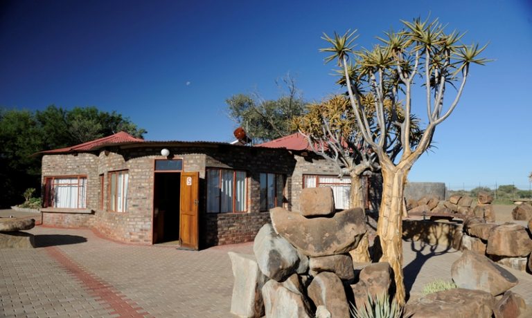 Quiver Tree Forest Camp
